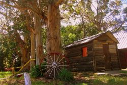 Camping El Rancho. Miramar. Cabañas. Cerca del Mar.