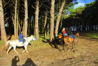 Camping El Rancho. Miramar. Cabañas. Cerca del Mar.